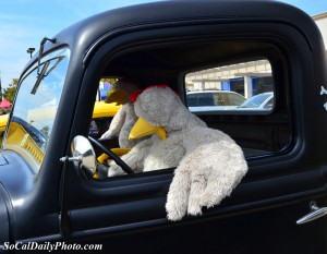 Foster Farms imposter chickens driving | Southern California Daily Photo